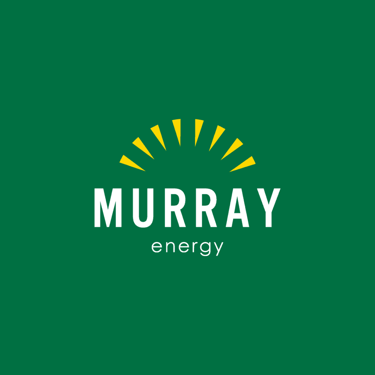 Murray Energy | Logo | Vital Design