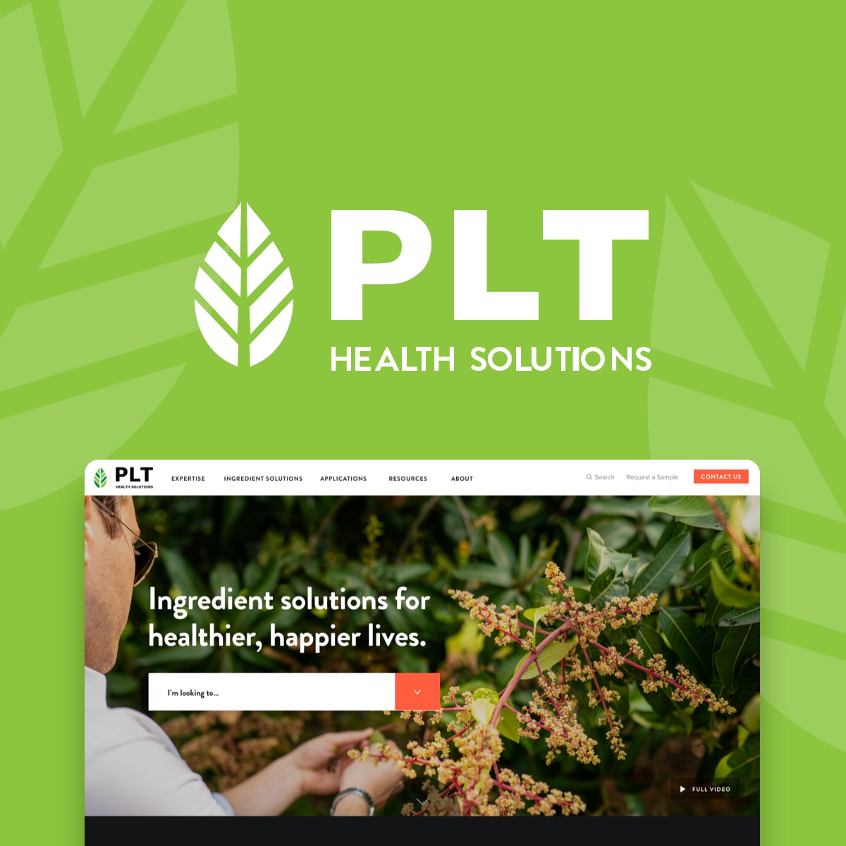 Digital Marketing Strategy | Vital.