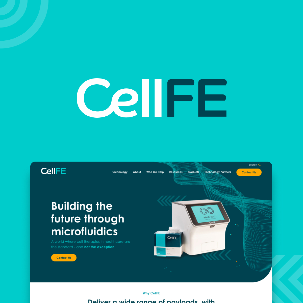 Stability Health | Logo | Vital Design